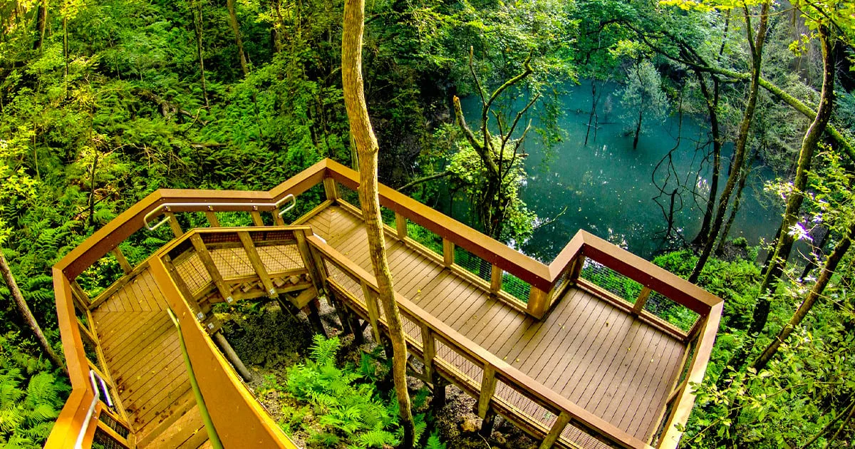 An enchanting spot in North Florida