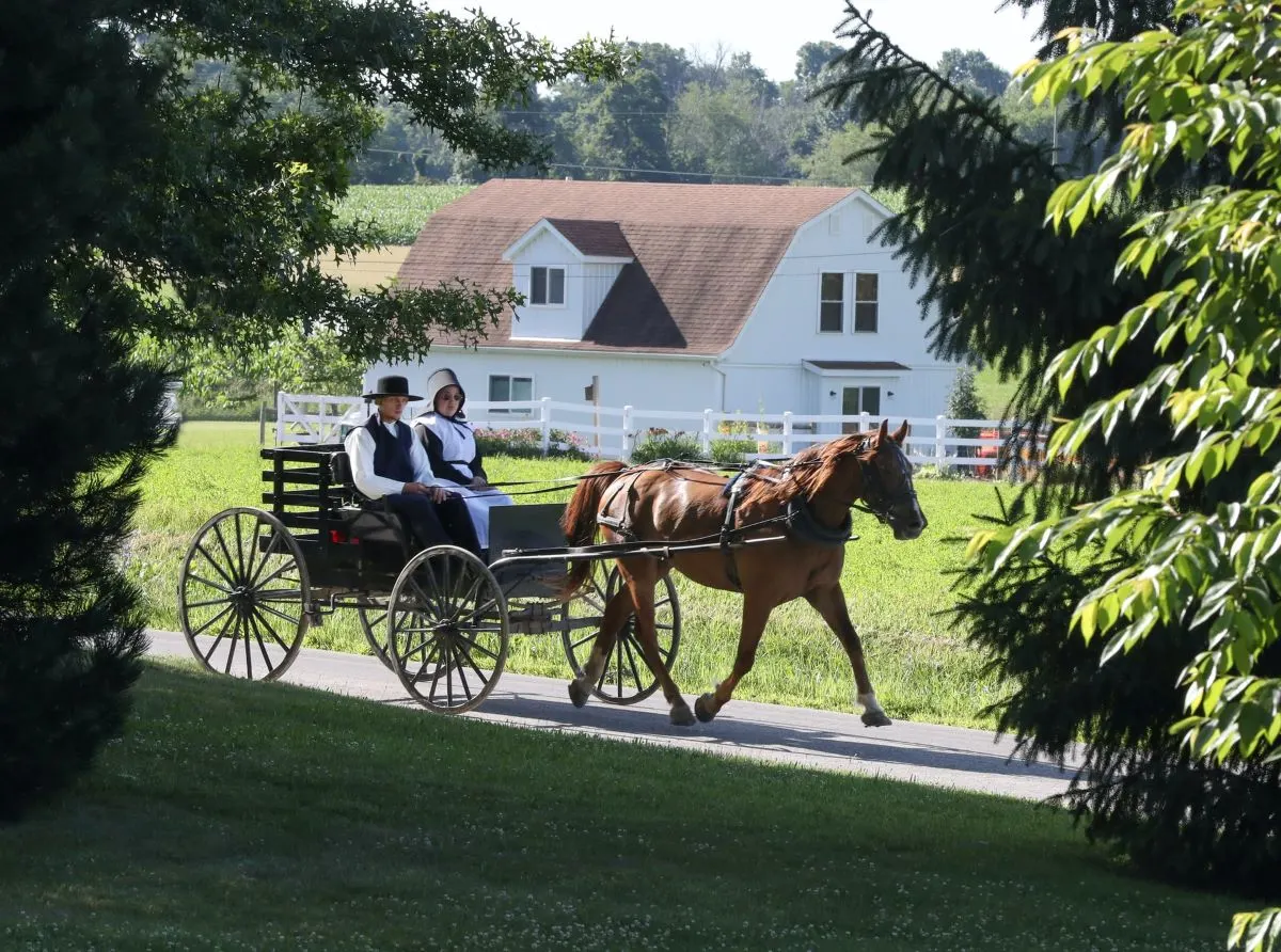 An image of simple living in Pinecraft 