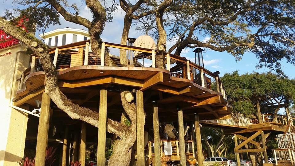 An image of the unique tree house restaurant.