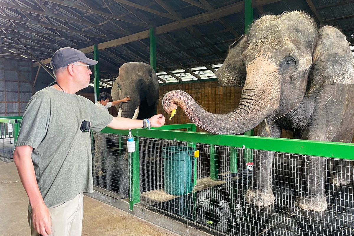 An interaction with an elephant.