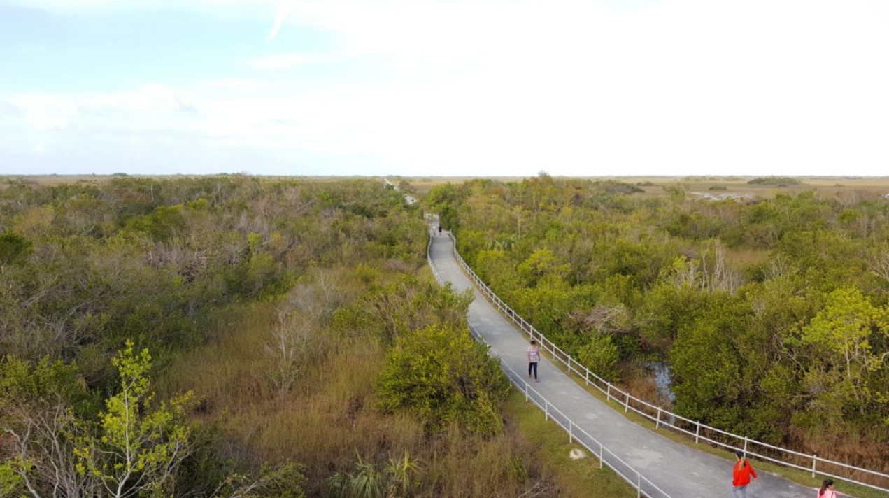 an overlooking view of the trail
