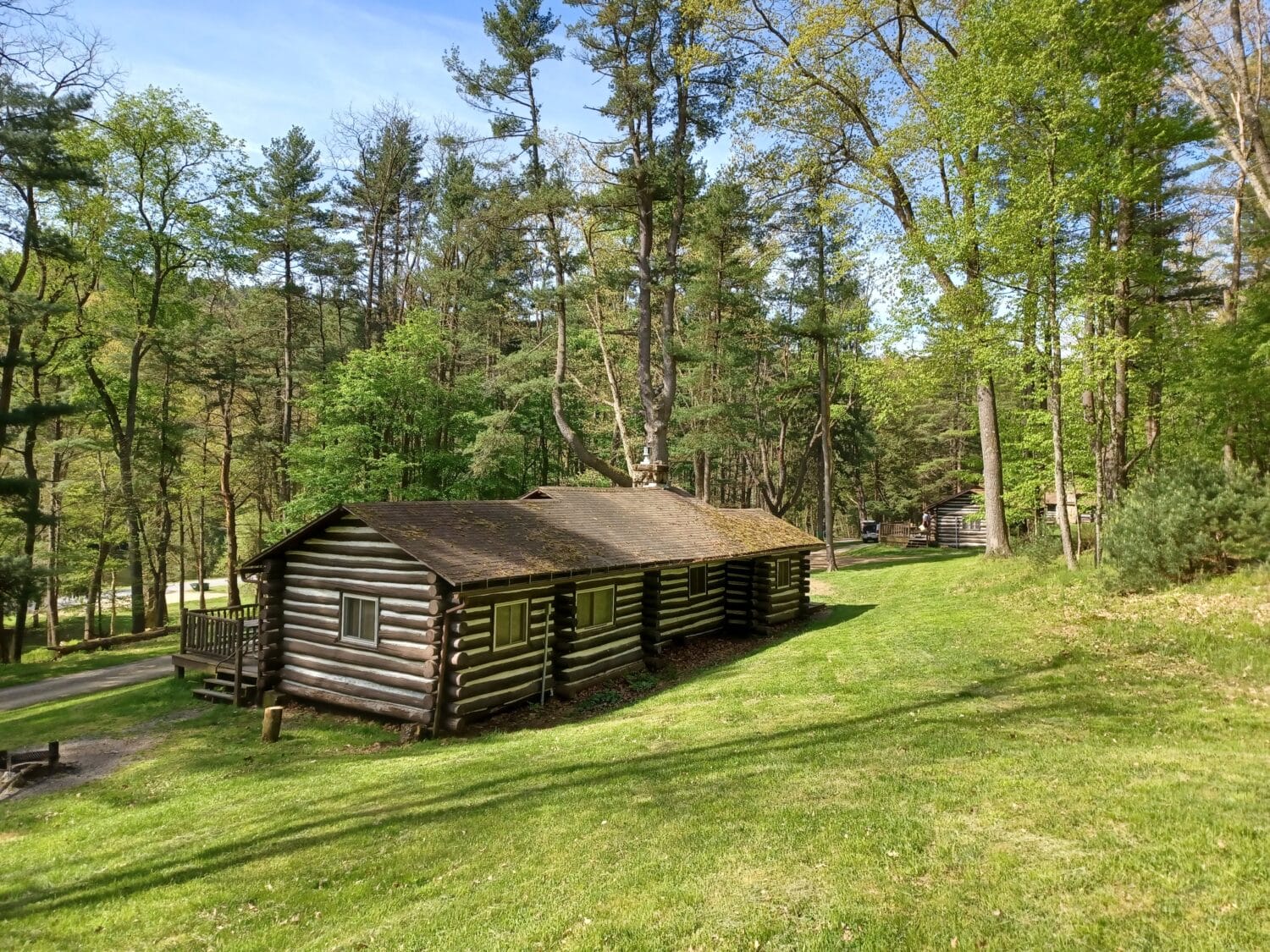 Cabins in the cook forest state park
