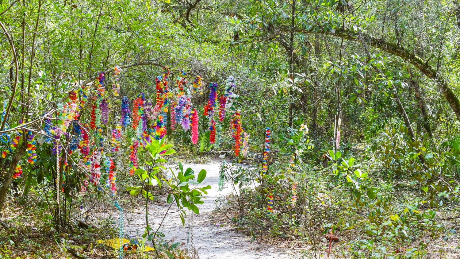 Colorful hanging leis around the park