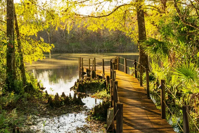 Fakahatchee Strand Preserve State Park