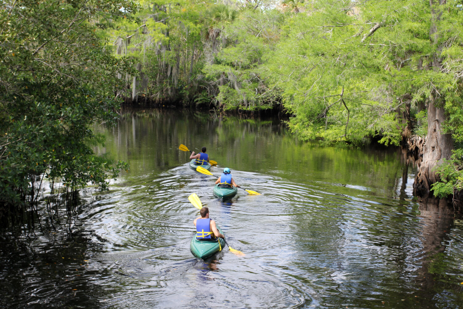 Kayaking in the stunning waters of Jonathan Dickinson State Park
