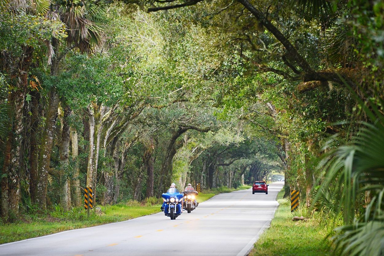 Motorcycles in the scenic highway.