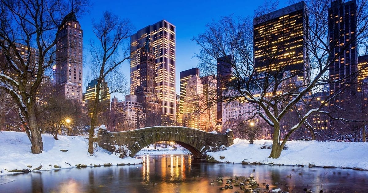 A shot of the famous Central Park in winter. 