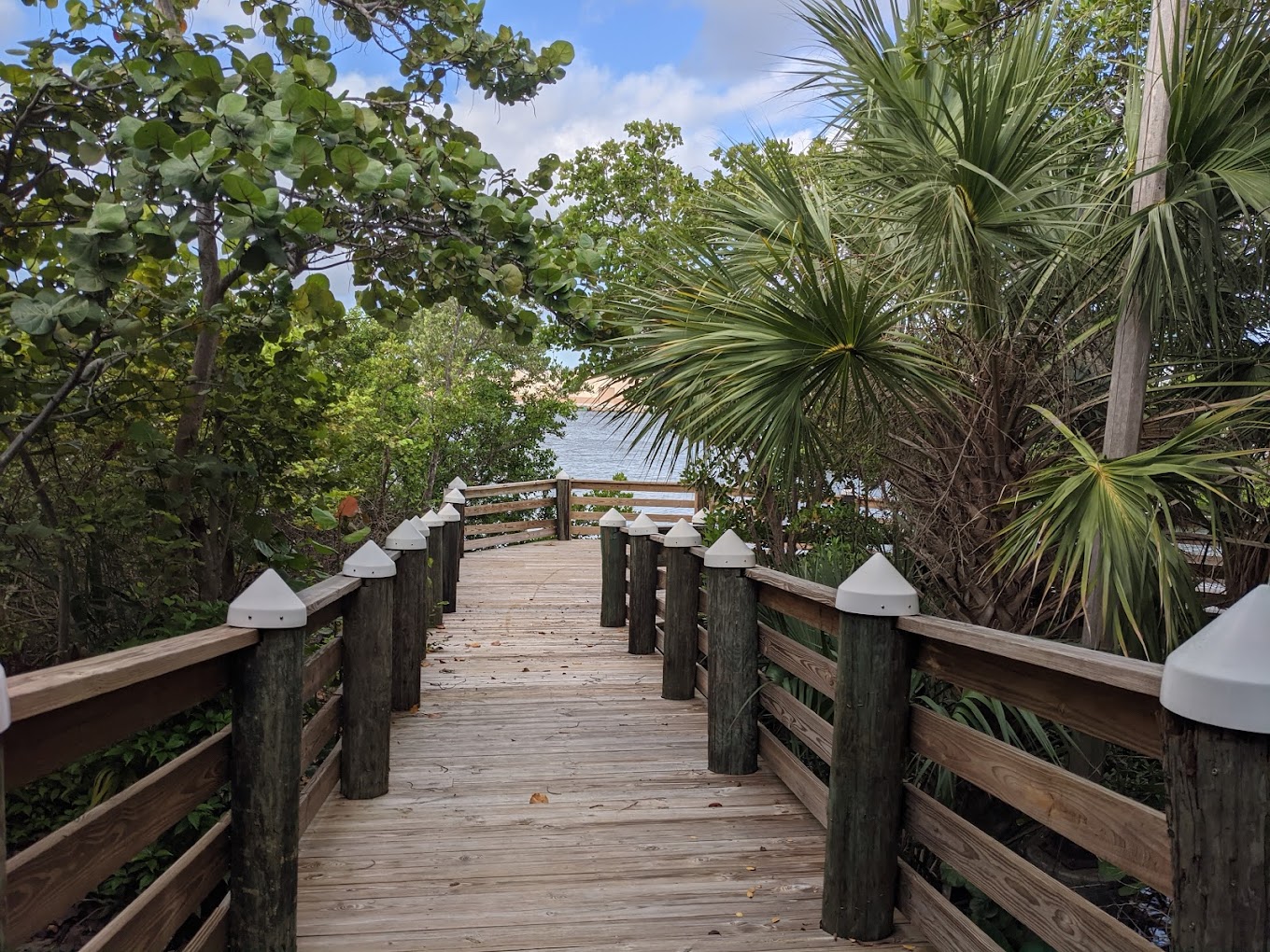 a pathway leading to the park and the beach