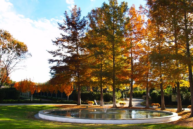 The Dallas Arboretum And Botanical Garden