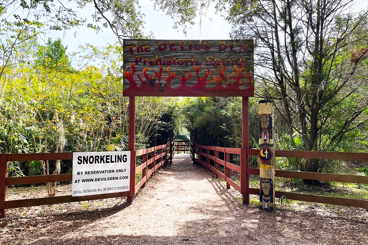 The Devil's Den Cave near Williston, Florida