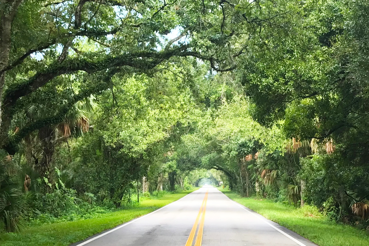 The Martin Grade Scenic Highway in Florida