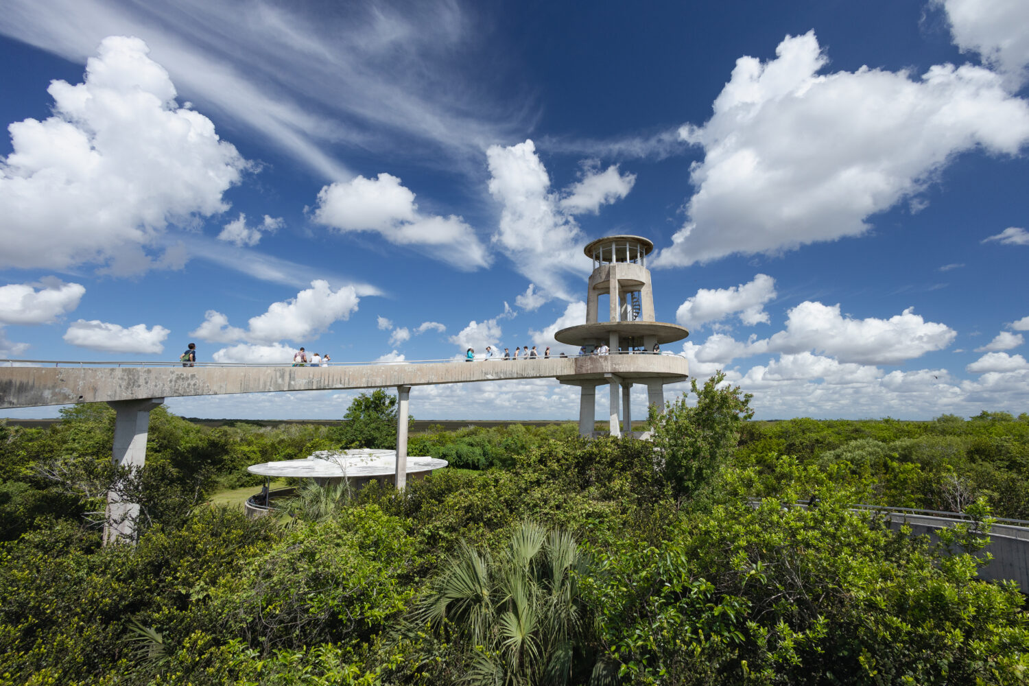 The Shark Valley Observation Tower