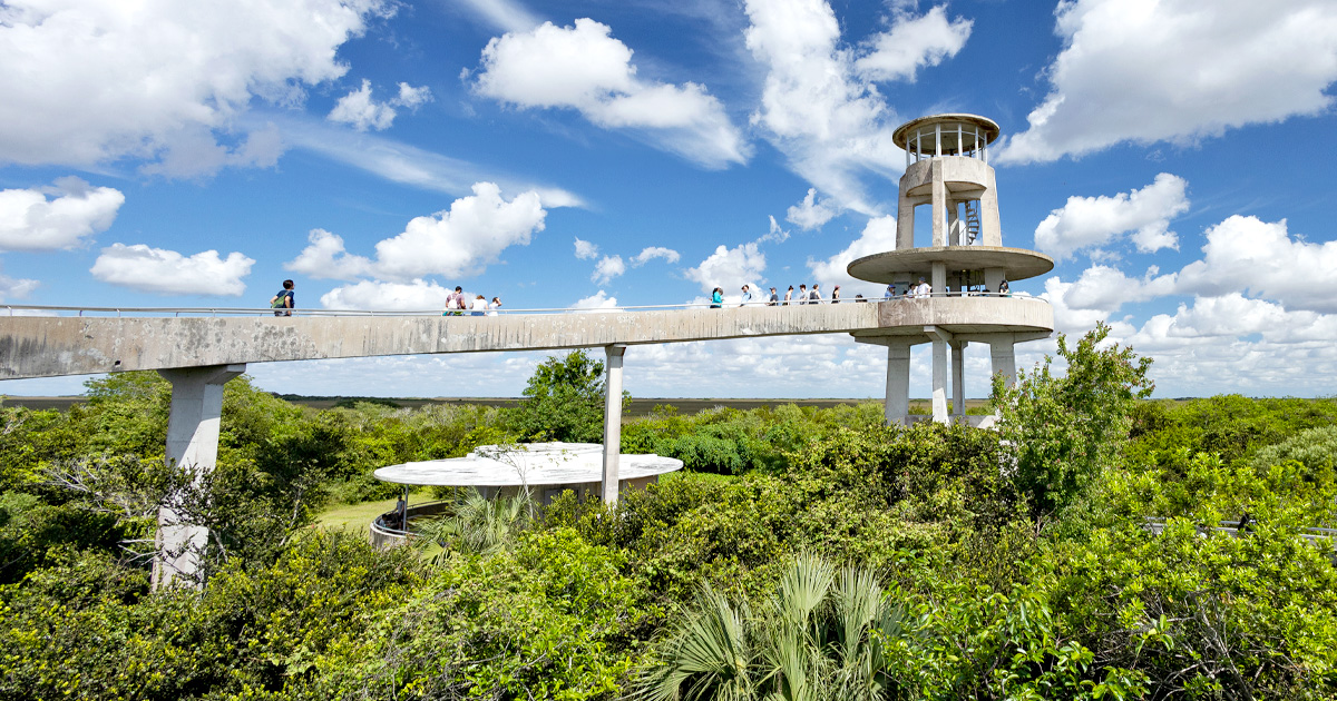 The Shark Valley Observation Tower in Florida