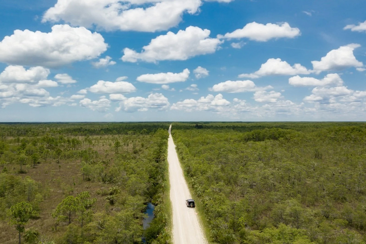 the aerial shot the scenic everglades loop road