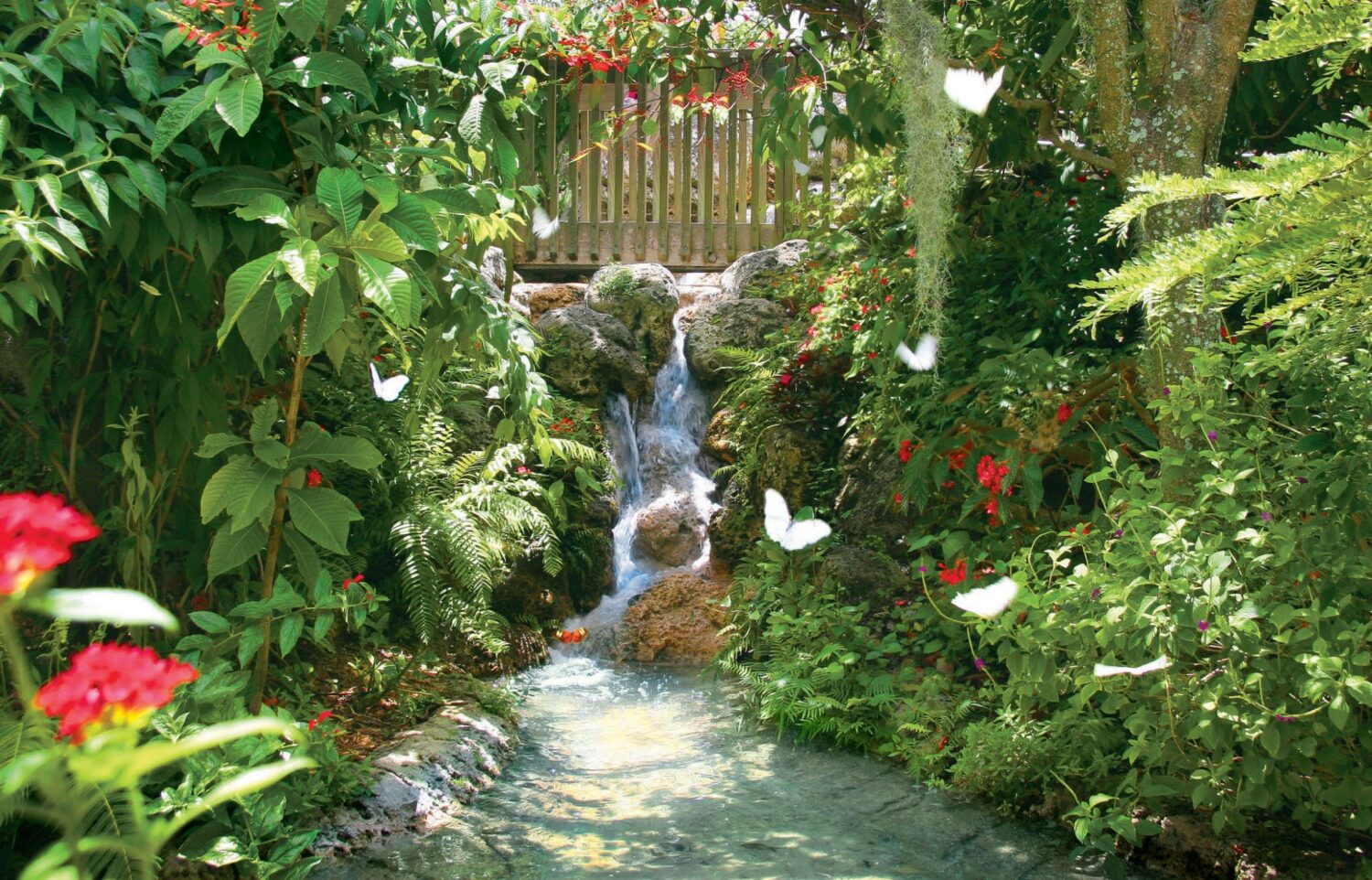 The beautiful garden in the butterfly world