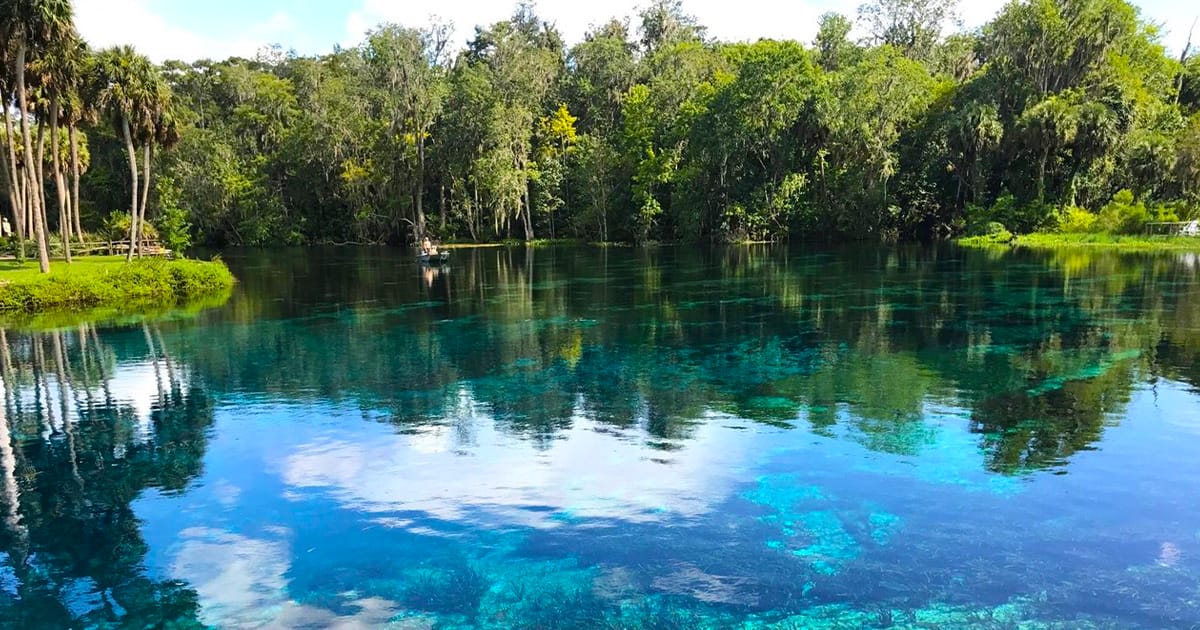 The crystal clear waters of Silver Springs State Park