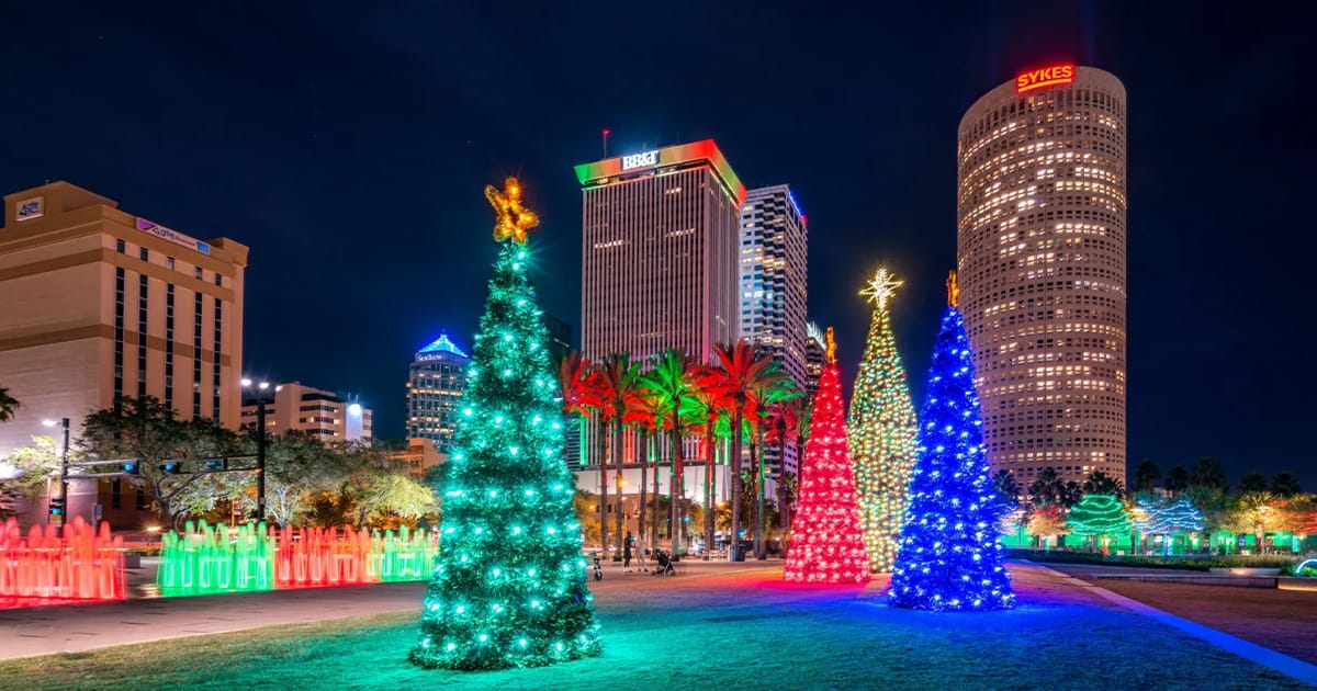 the dazzling christmas lights of tampa