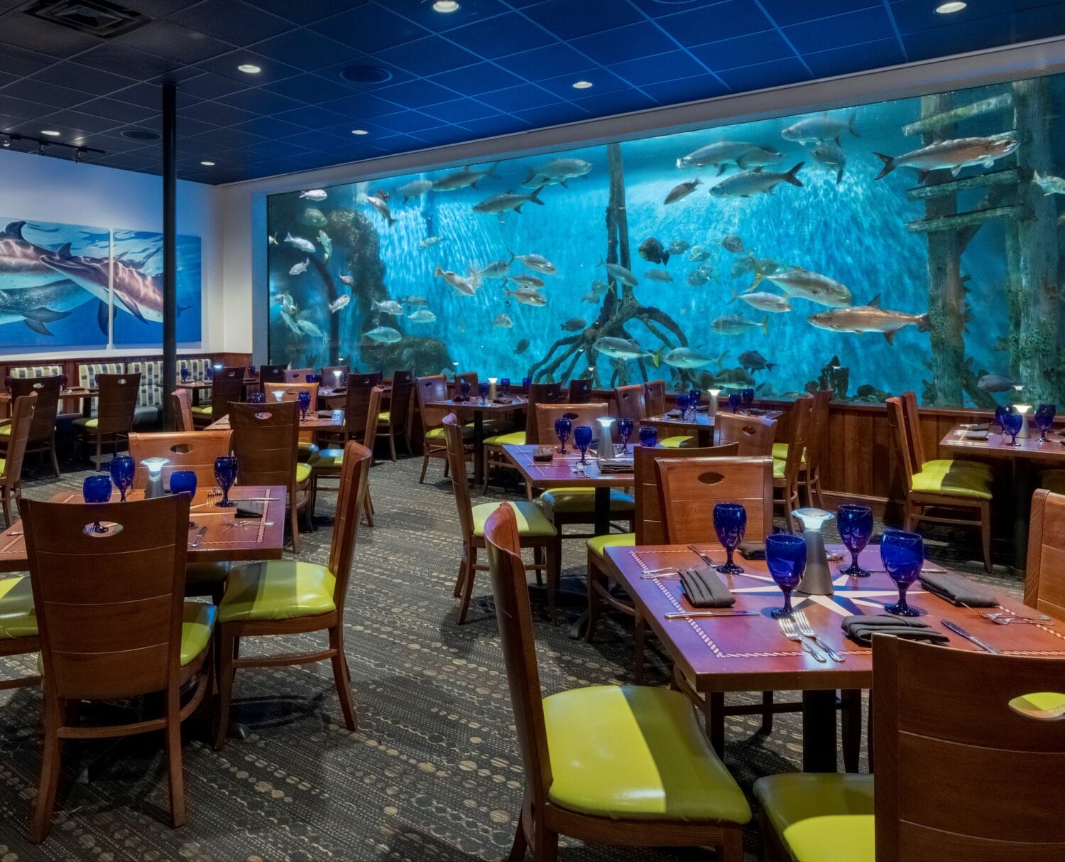 The dining room with a magnificent view of the aquarium