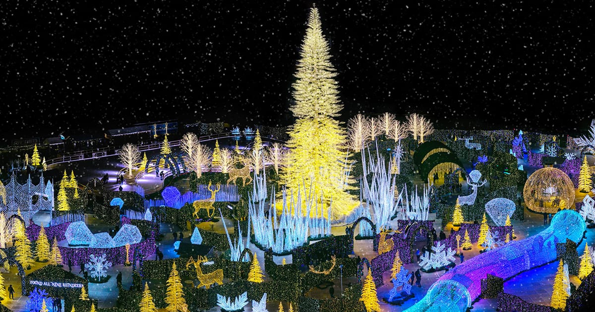 The enchanting and surreal Christmas maze of Enchant