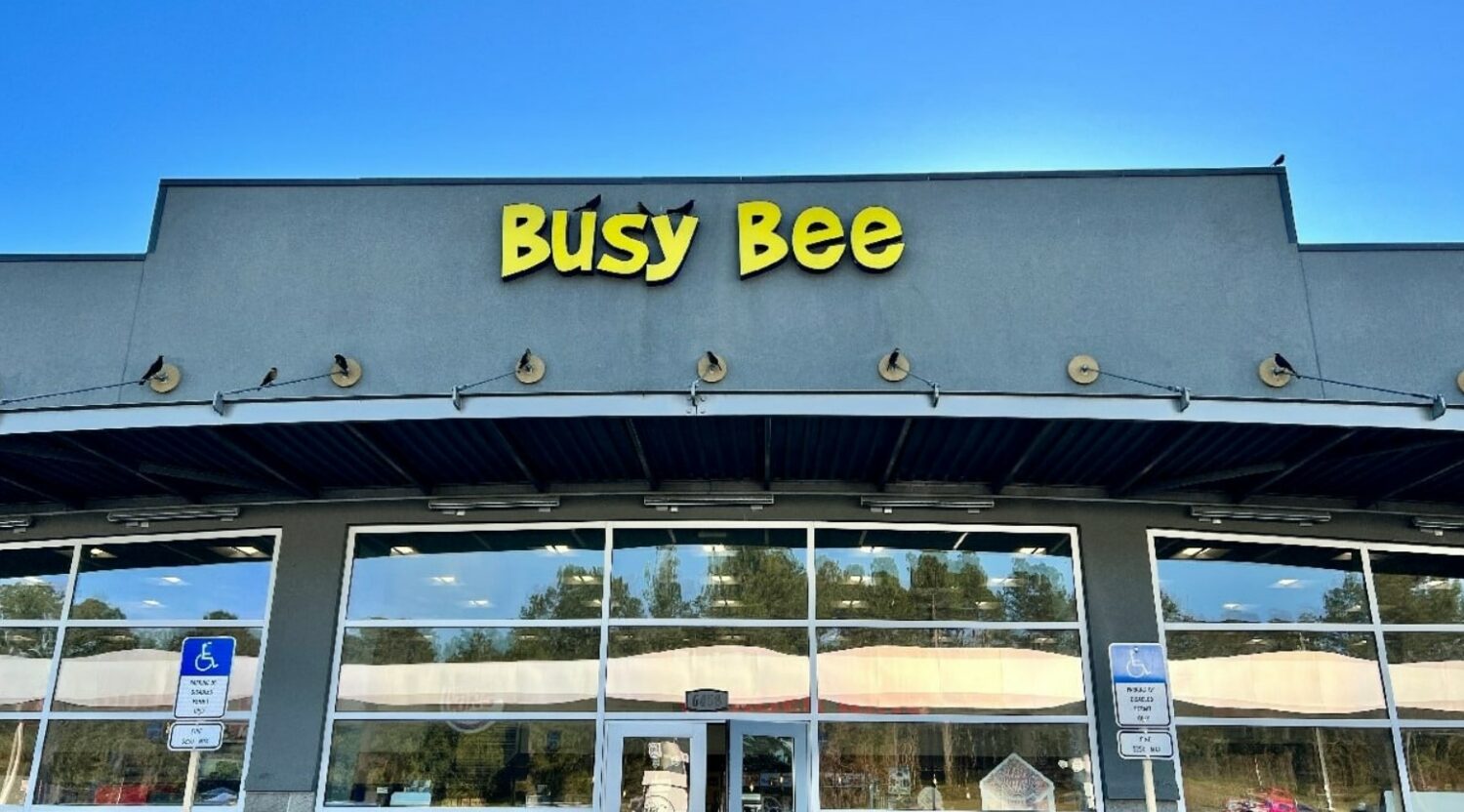 the front view of busy bee