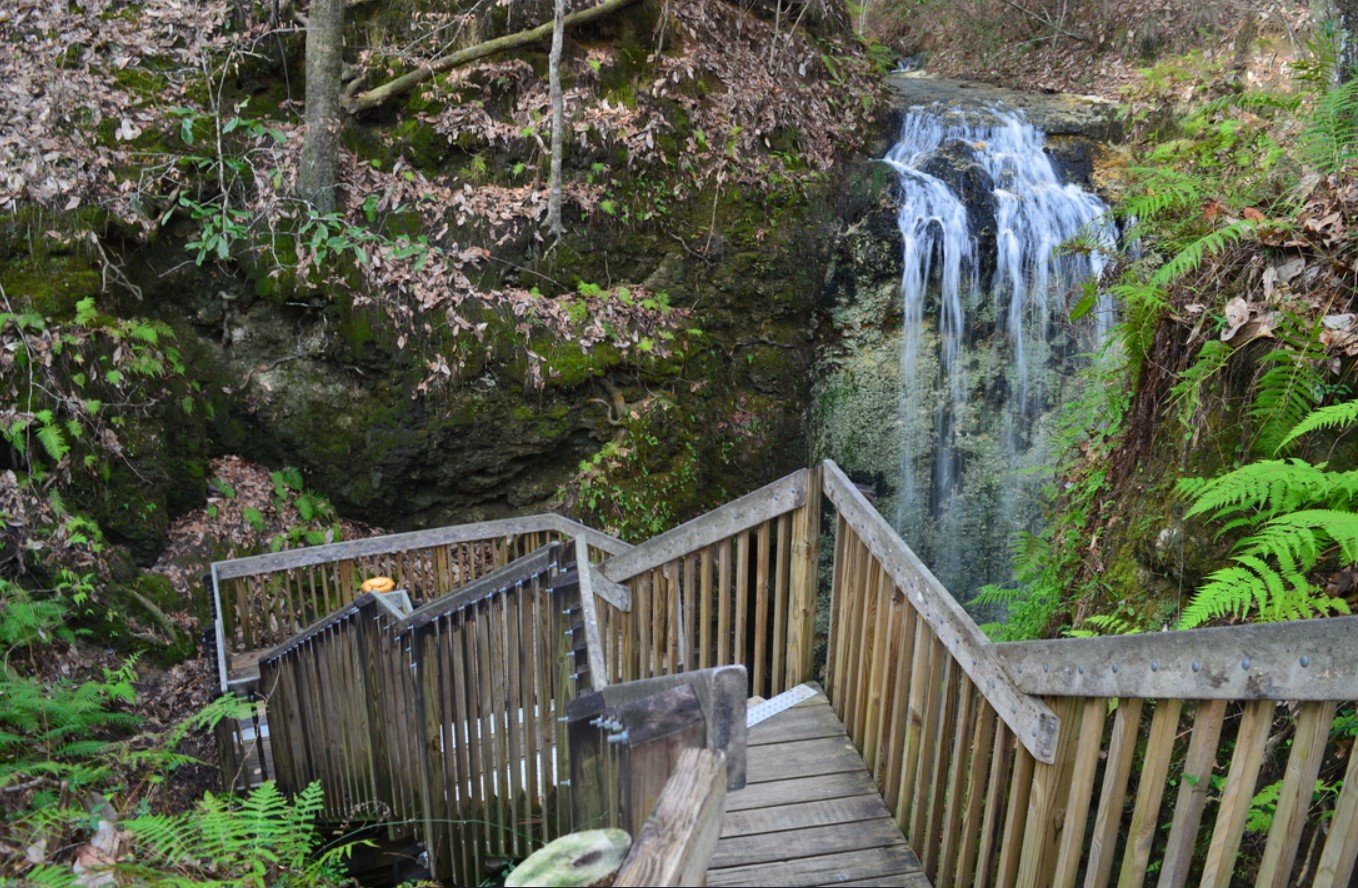 the pathway to the waterfall