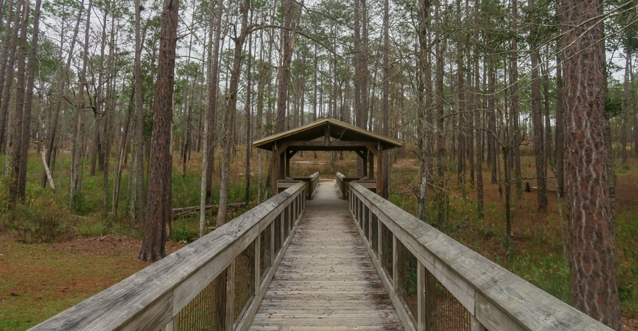 the scenic trail in the park
