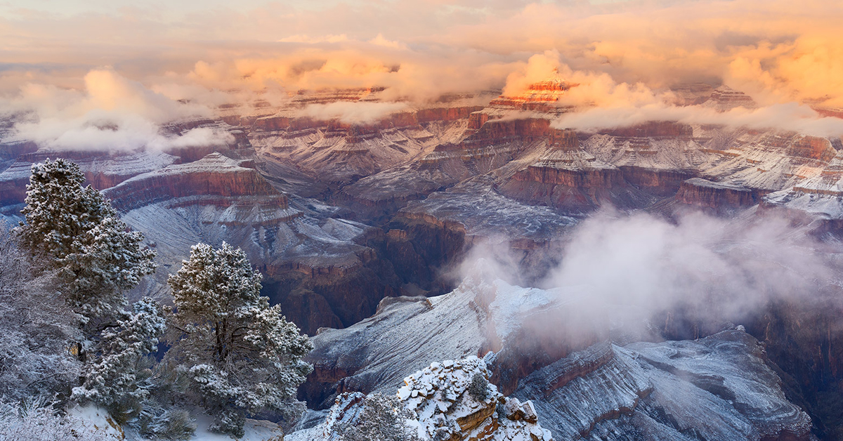 The surreal winter landscapes of the Grand Canyon.