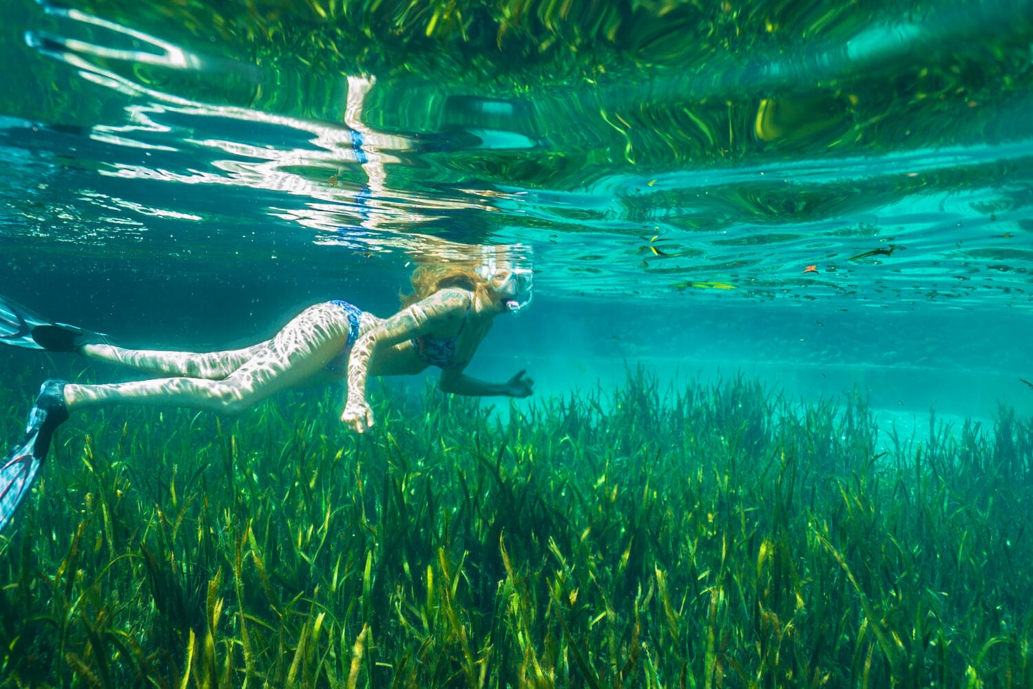 An underwater shot of a woman swimming in the spring
