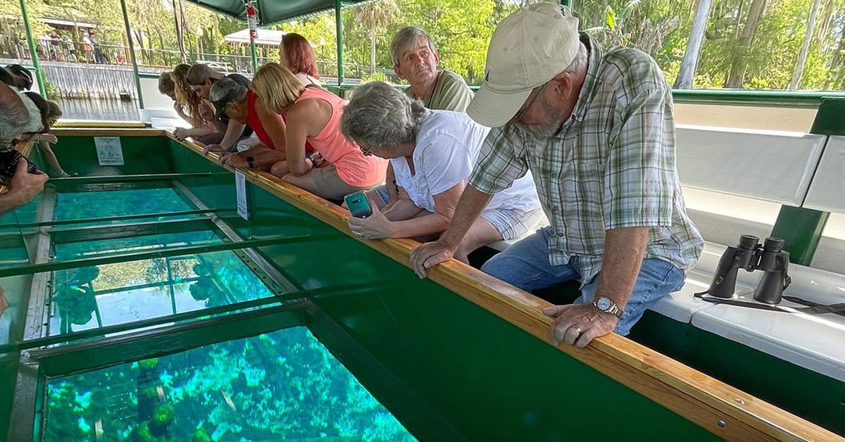 A glass-bottom boat ride