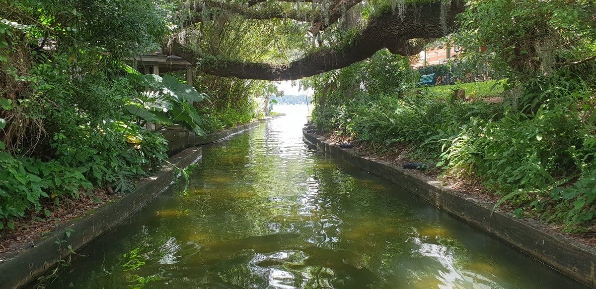 Natural beauty of the scenic canals of winter park,
