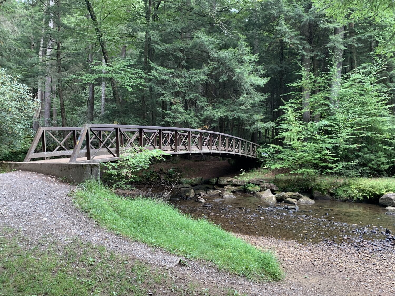 One of the bridges in the park