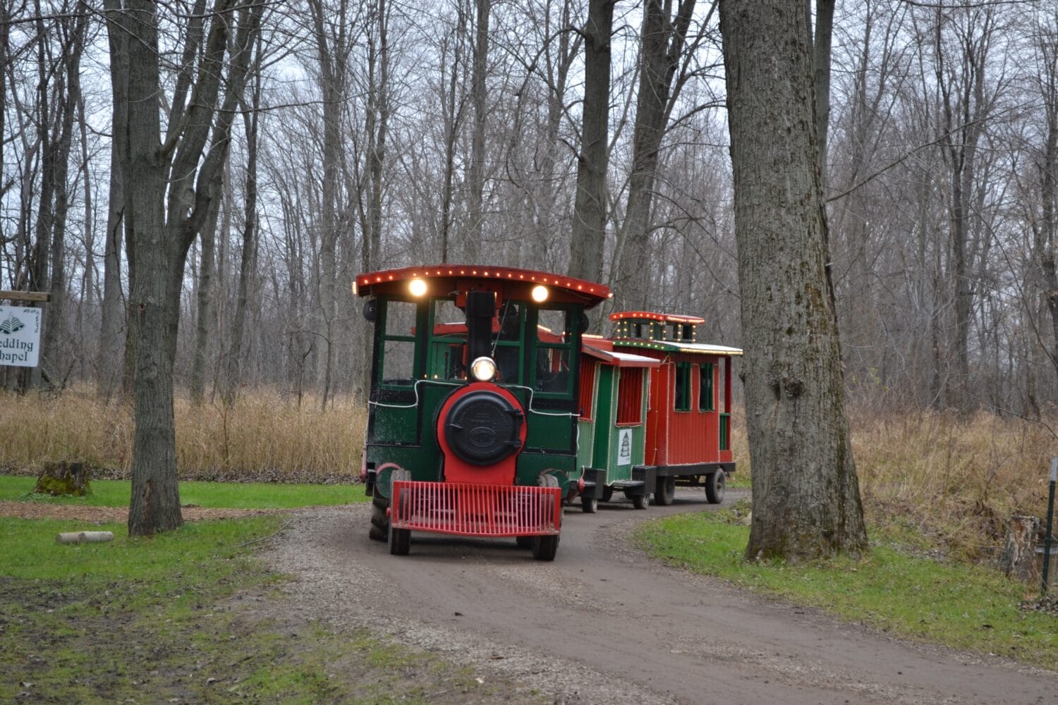 a colorful miniature train with a vibrant green engine chugs along a woodland path offering rides to visitors at the family farm