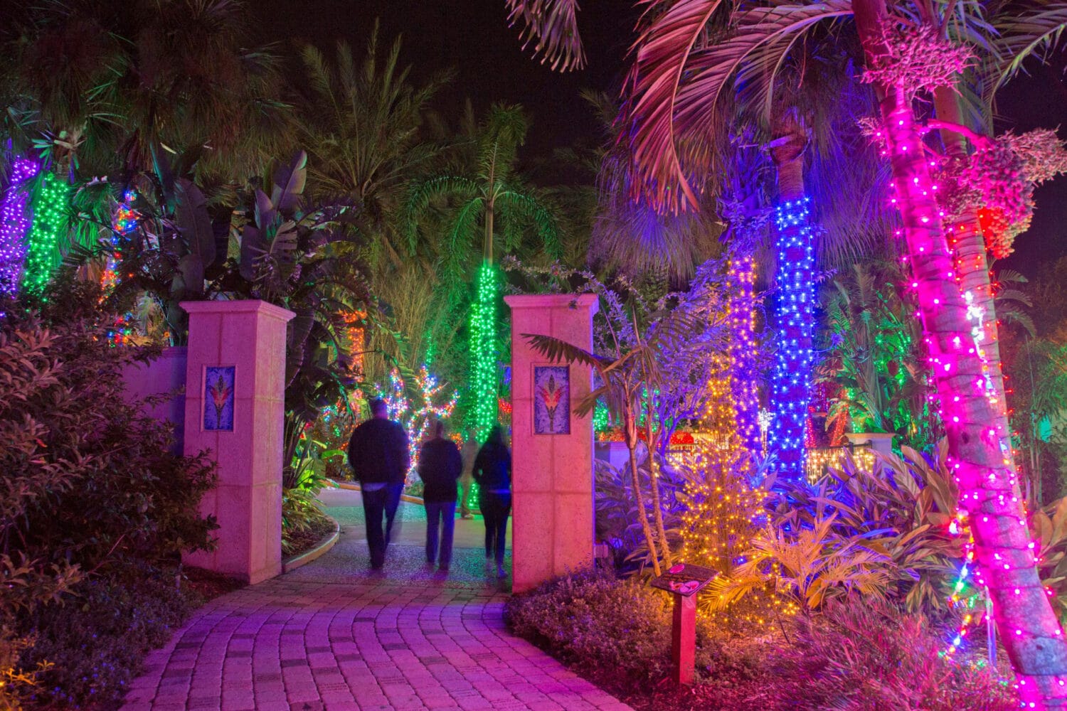 a festive image of the florida botanical gardens with dazzling holiday lights