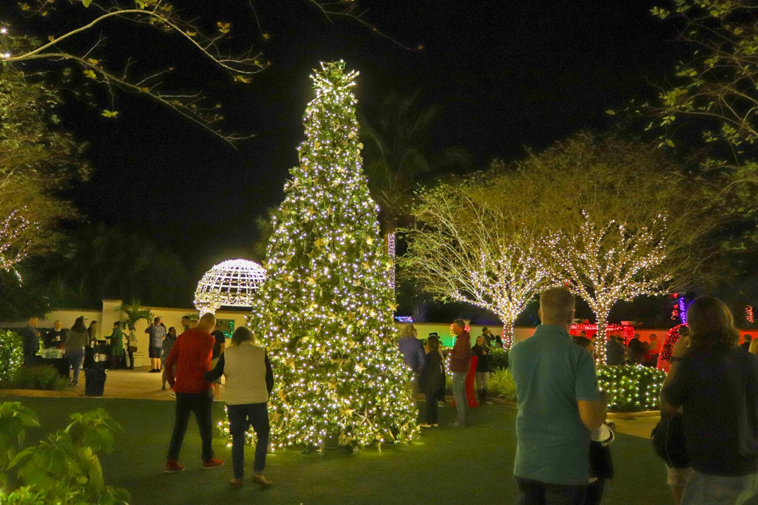 A group of people enjoying the view at the botanical garden