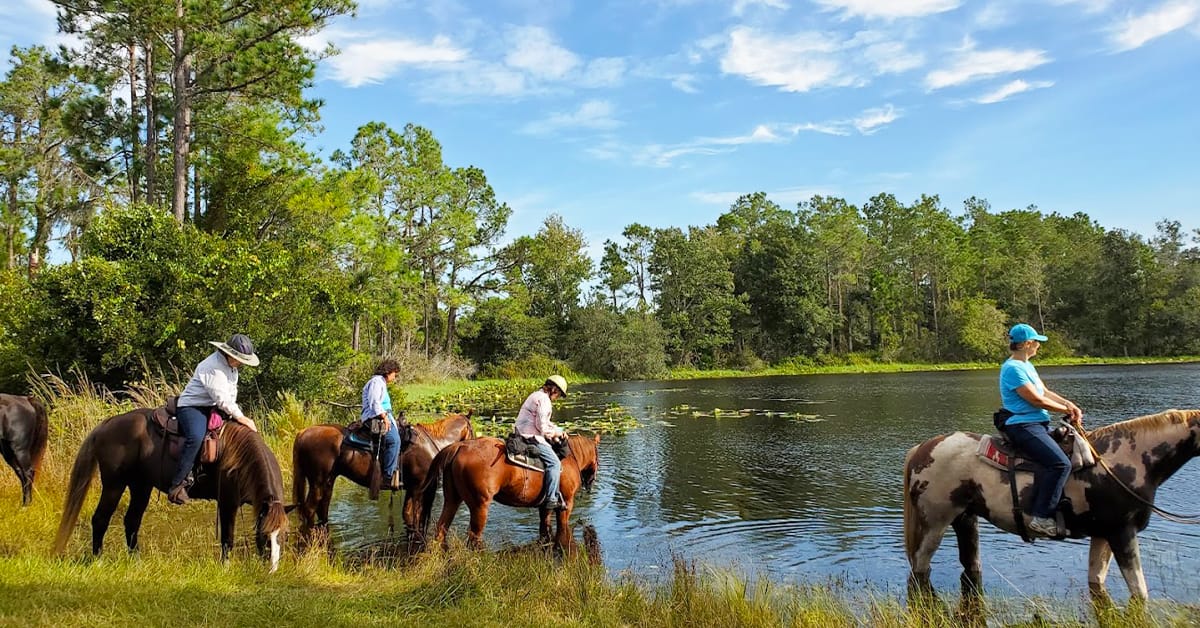 a group of tourist horseback riding in the park