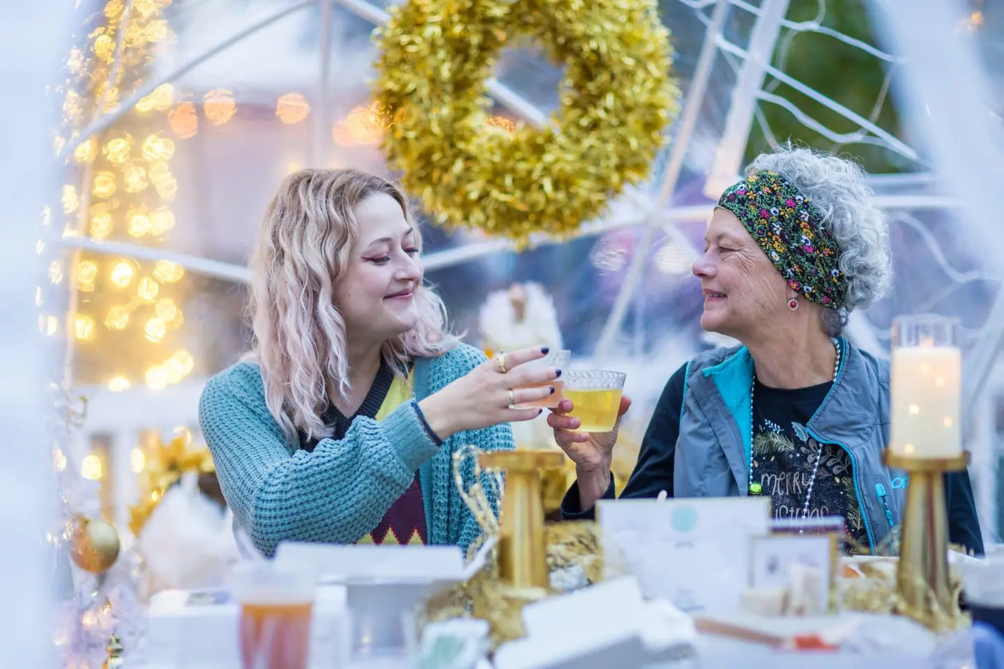 A joyous toast of two women during the delightful celebration
