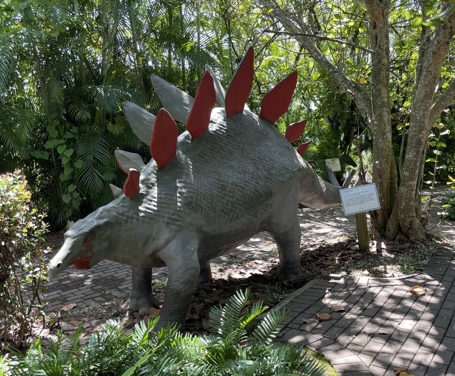 a life size model of a stegosaurus dinosaur in a lush outdoor setting part of an educational display