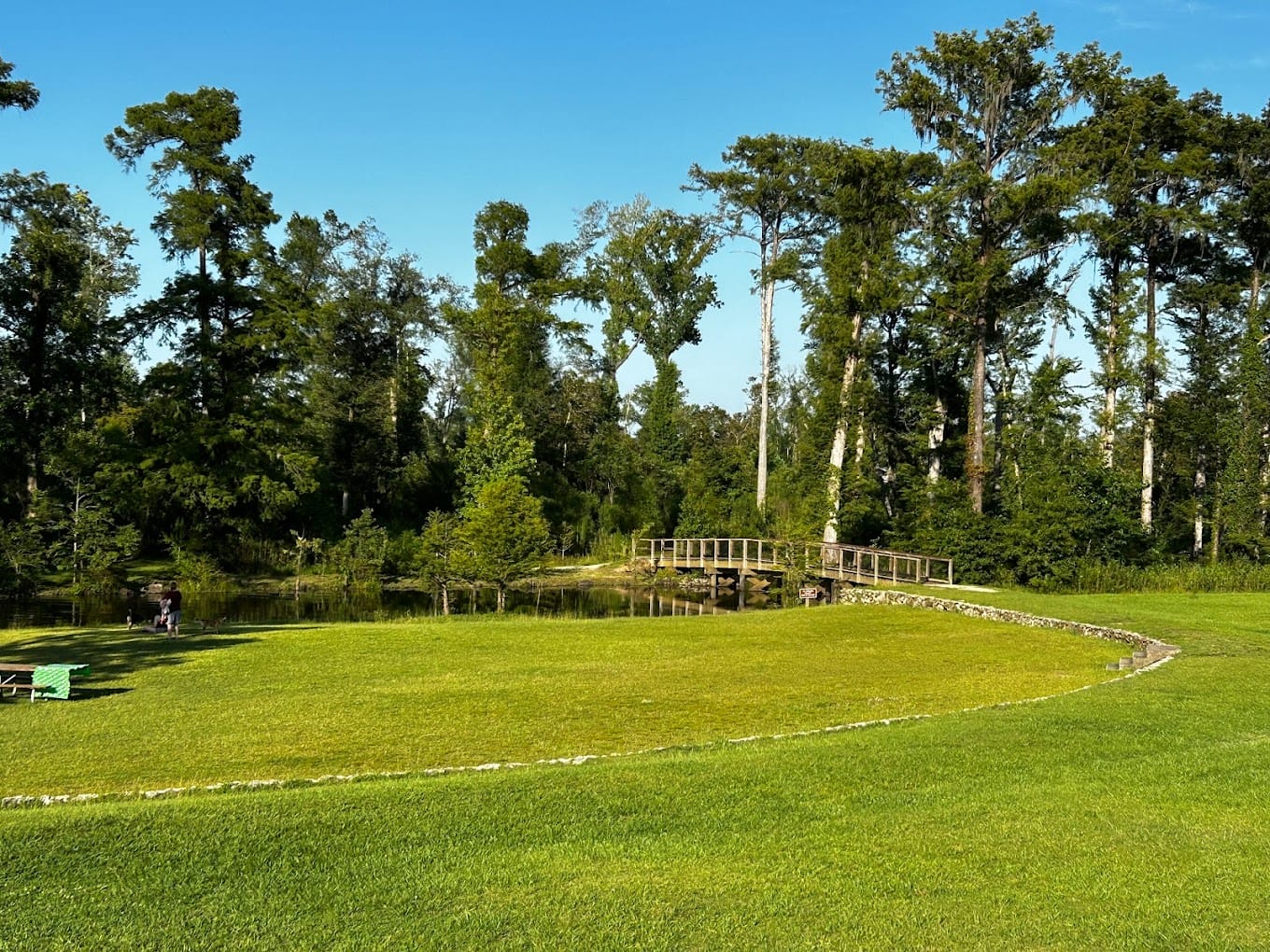 a lush green landscape at florida caverns state park with a wooden bridge crossing over a tranquil pond