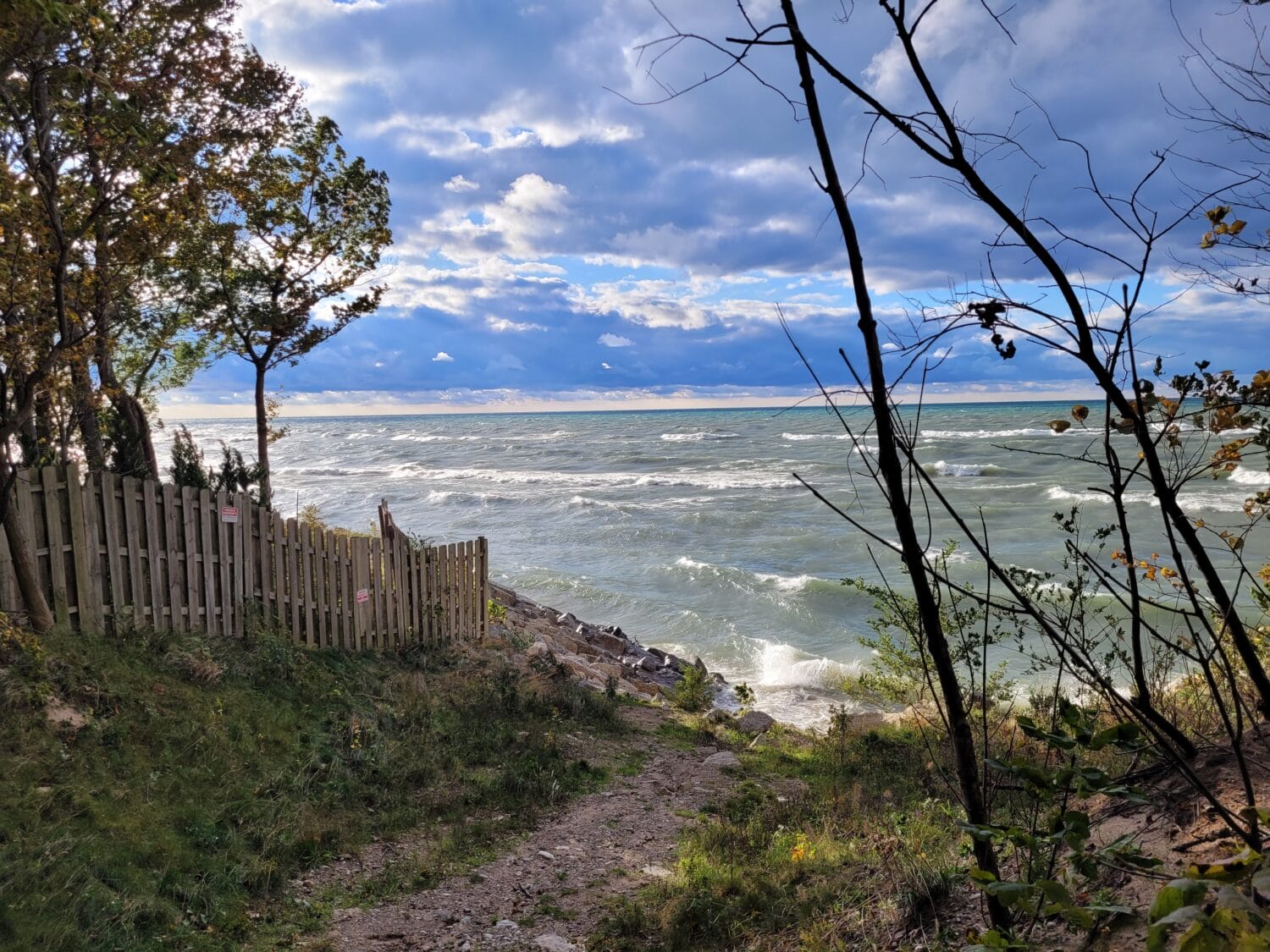a path framed by trees and a wooden fence with waves crashing in the background