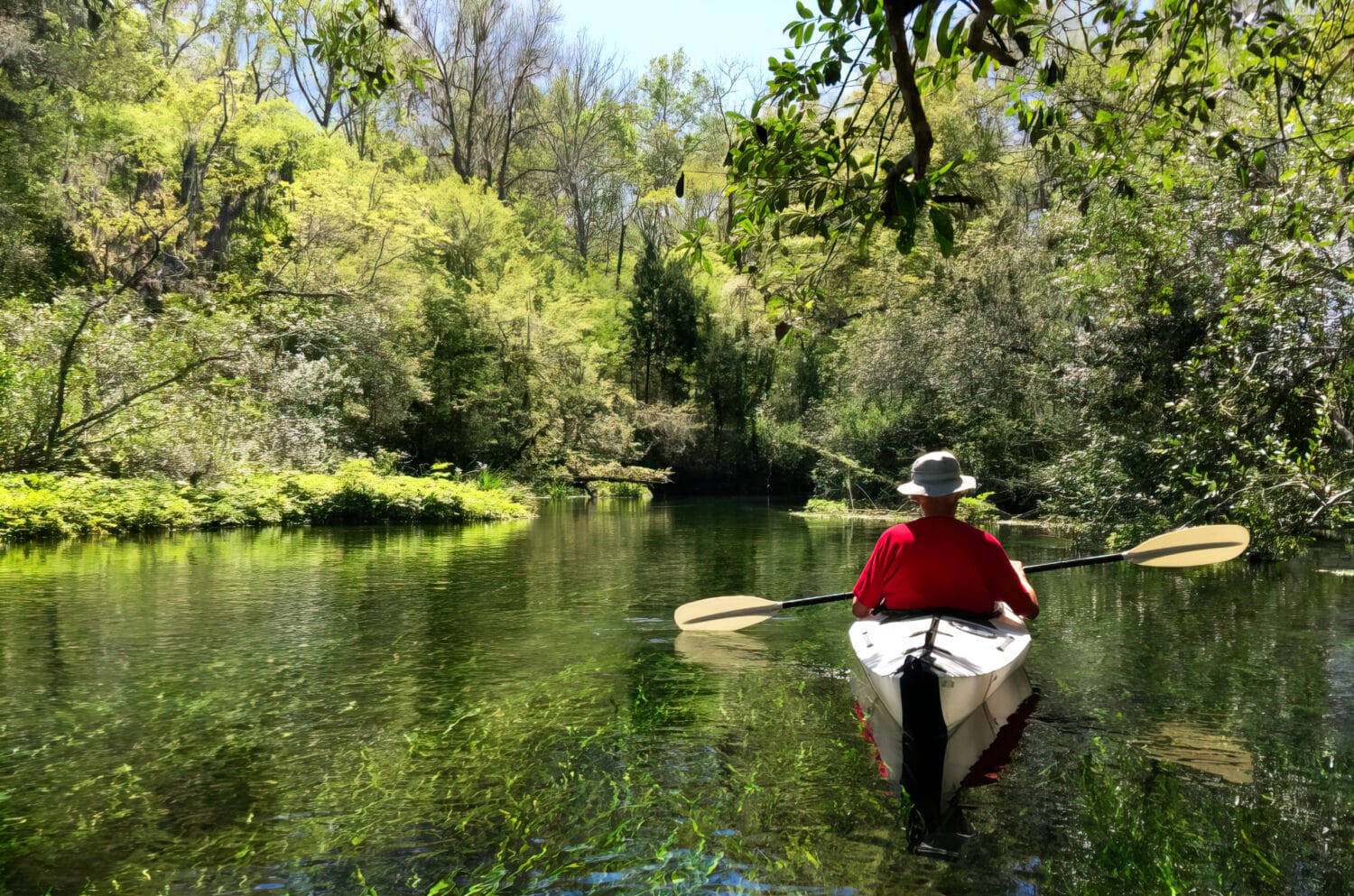 a peaceful kayaking adventure through the clear reflective waters surrounded by lush greenery at florida caverns state park