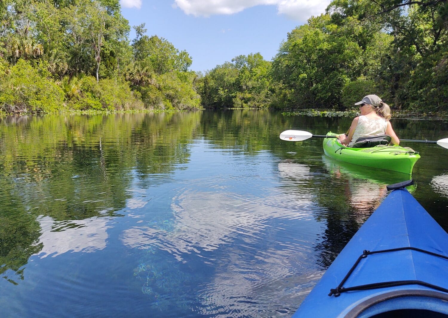 a person kayaking on a serene and clear freshwater spring surrounded by lush greenery