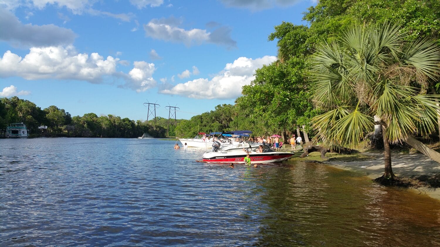 a picture of st. johns river on a good weather with people swimming and boats docked on side
