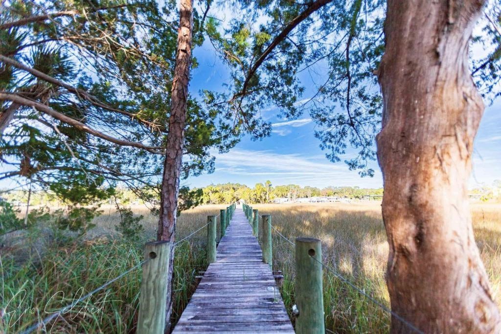 a rustic wooden boardwalk flanked by pine trees leads through a marshy landscape under a clear blue sky