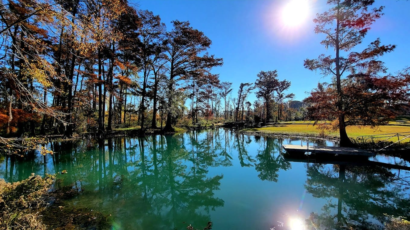 a serene landscape showcasing the clear blue waters of a spring surrounded by cypress trees and vibrant fall foliage at florida caverns state park