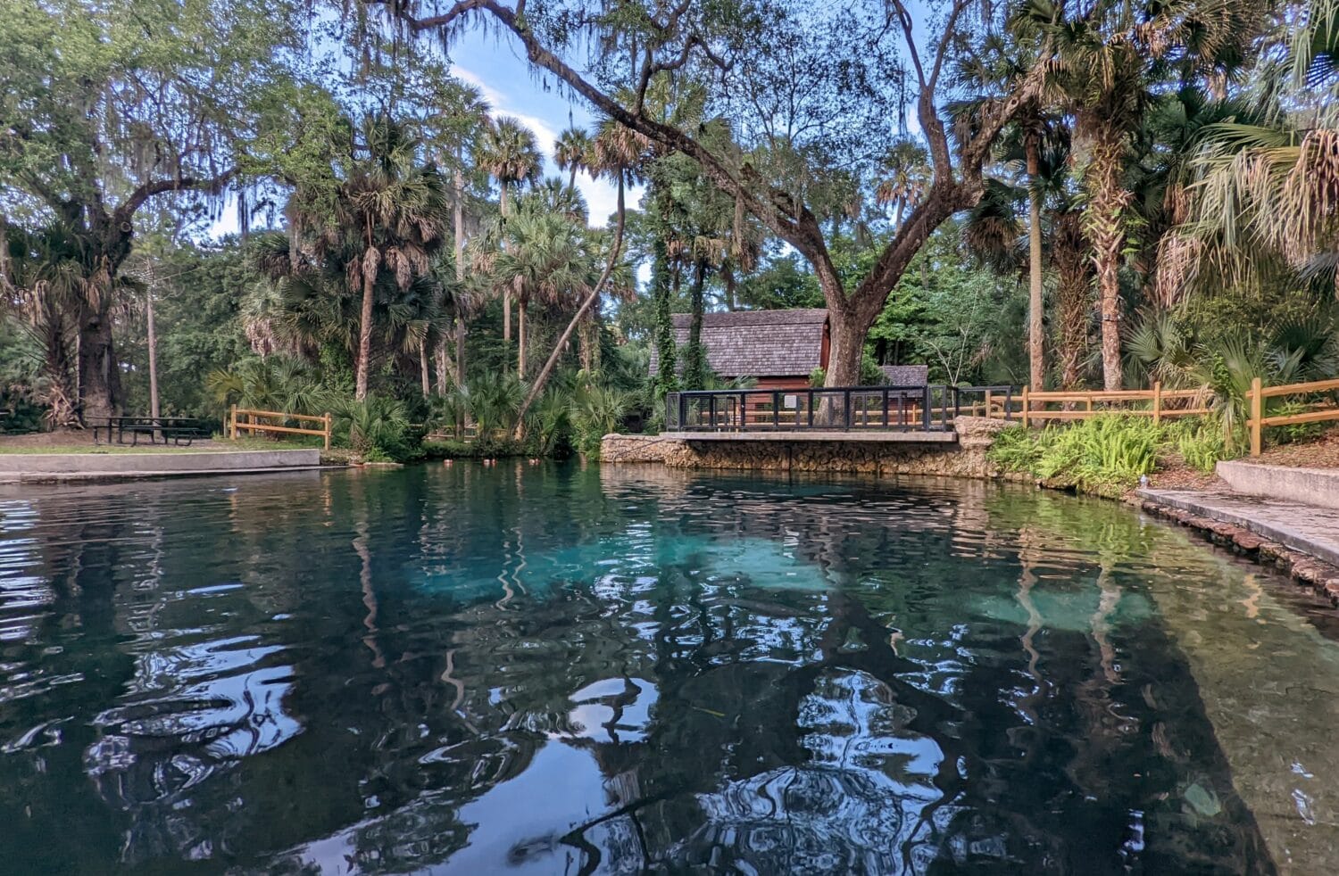 a serene view of juniper springs with reflections in the water surrounded by dense vegetation and a rustic setting