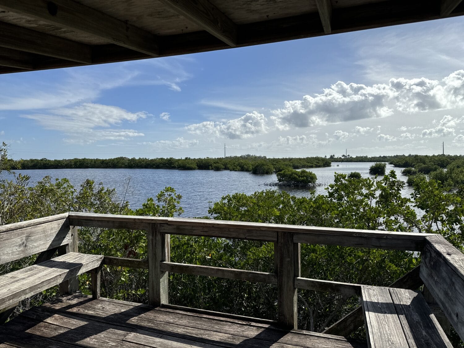 A shot from the observation point with views of the waters and lush mangroves