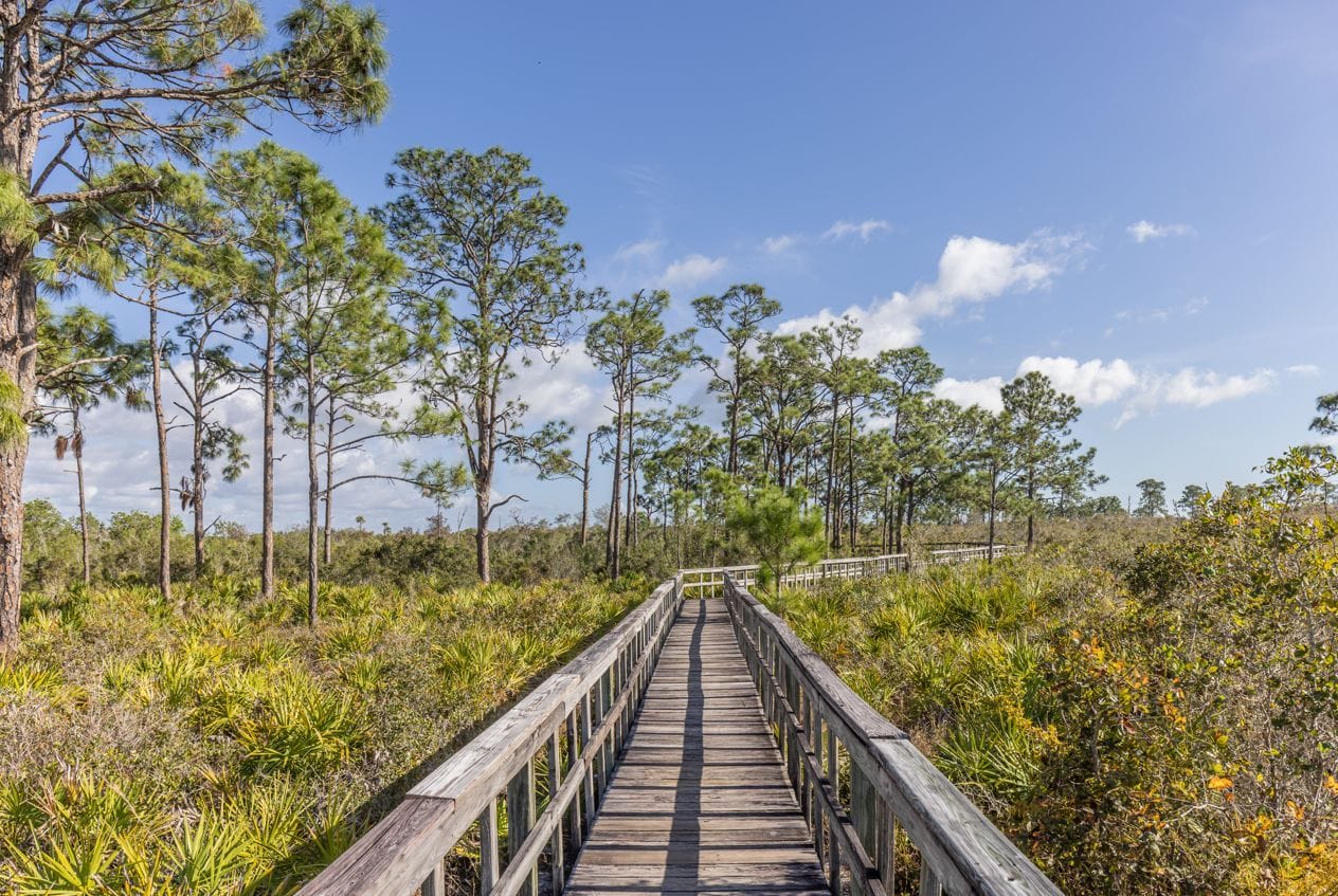 A stunning image of Briggs Nature Center Boardwalk trail