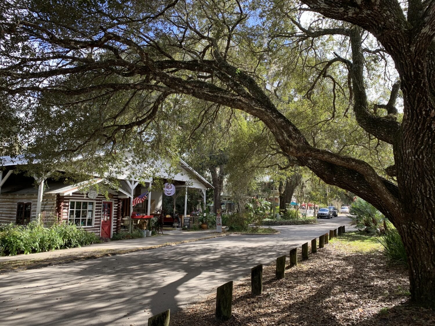A stunning shot of a street in Micanopy