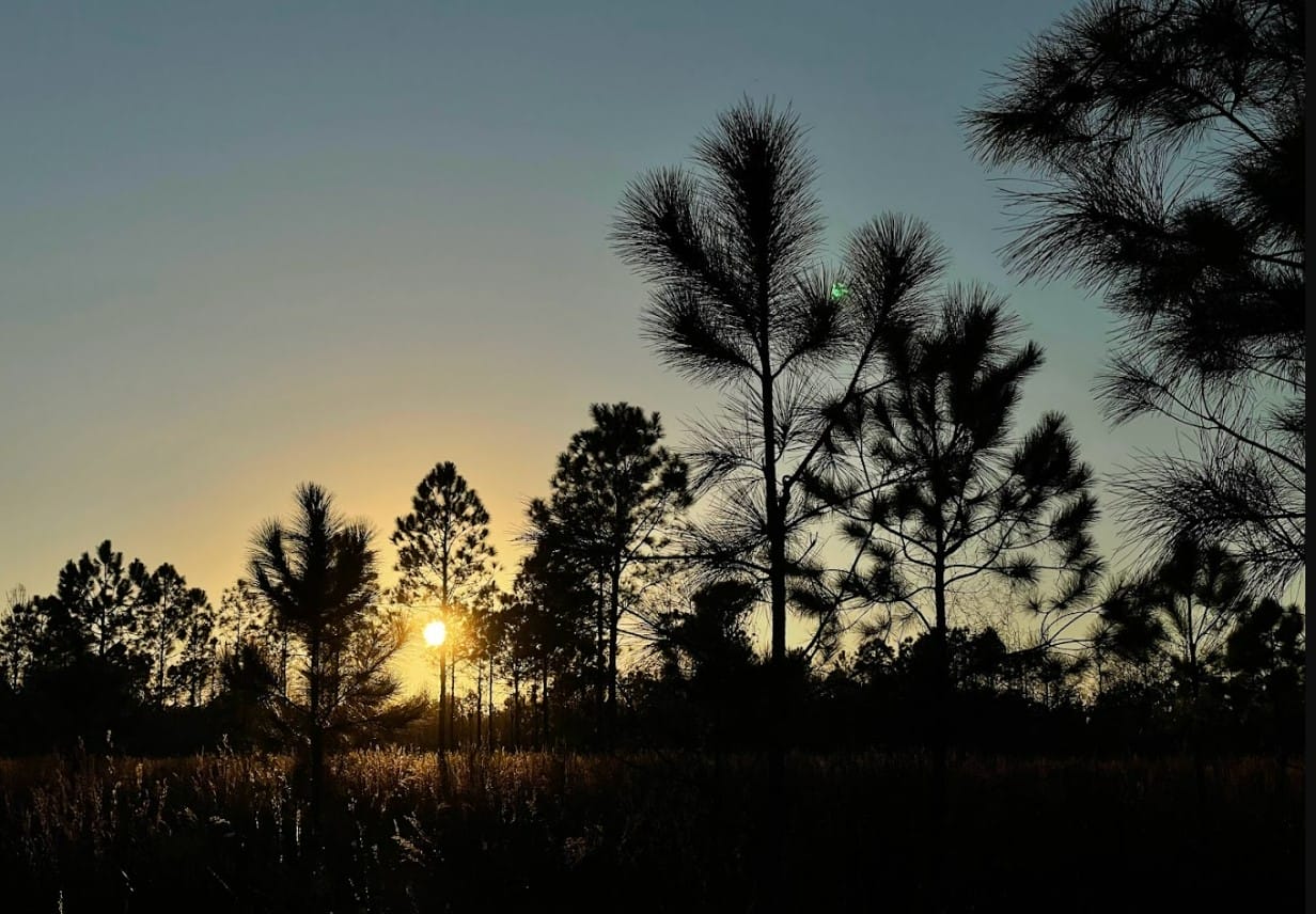 a stunning sunset in little manatee river state park