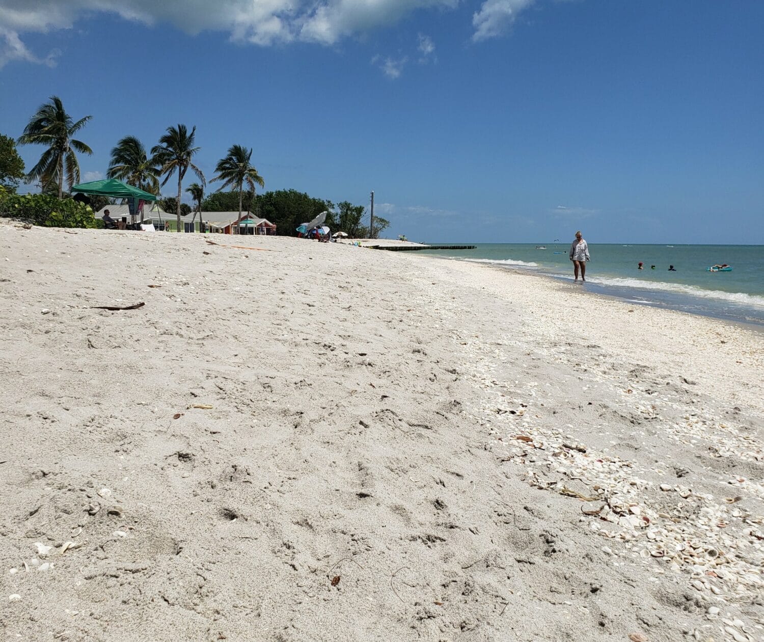 a sunlit sandy beach scattered with shells leading up to a tranquil ocean with beachgoers and tropical palm trees in the background